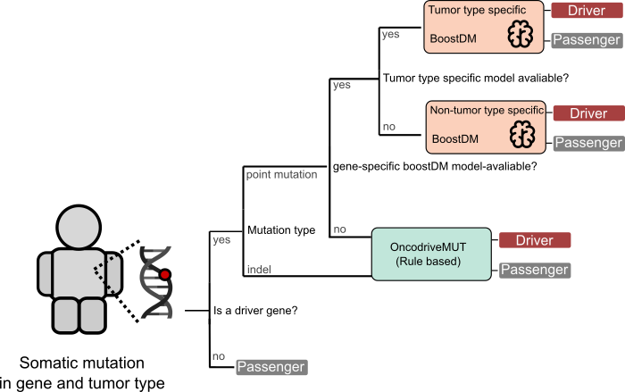 Cancer Genome Interpreter - Identification of therapeutically ...